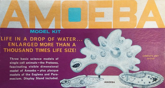 Atlantis Amoeba Single Cell Model Kit STEM L3800 SALE! – Burbank's ...